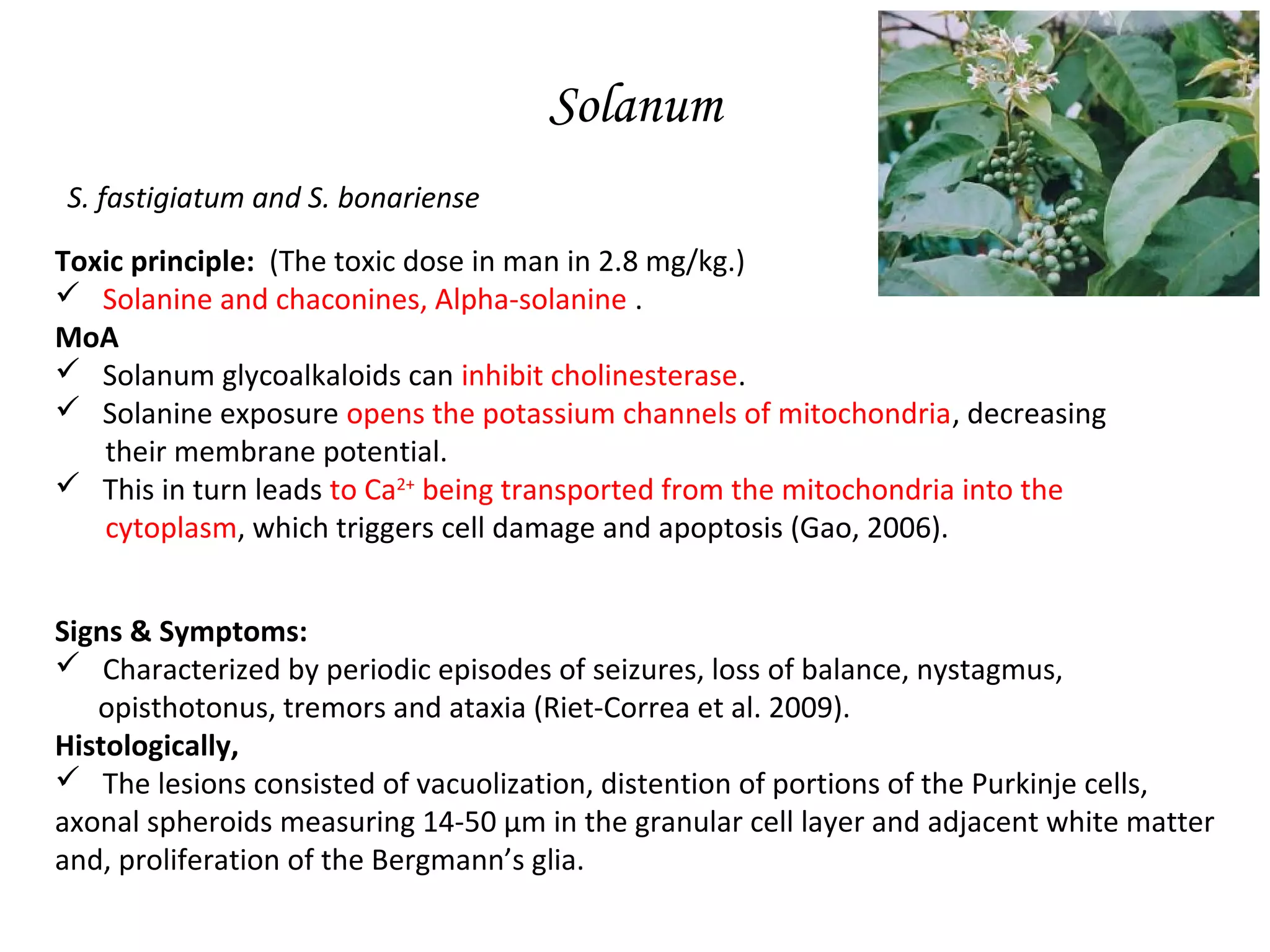 Pathology & pathogenesis of different toxins, poisons other than ...