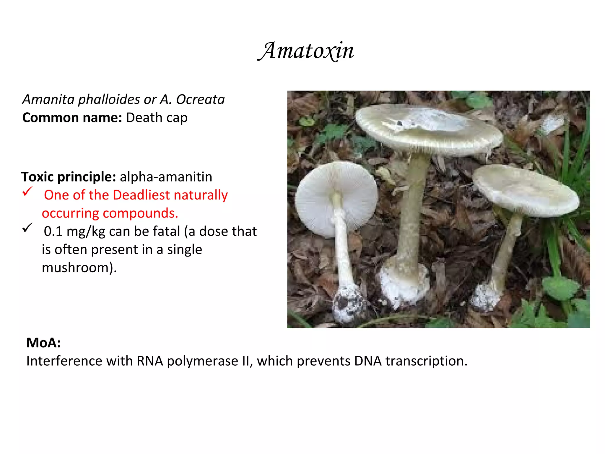 Pathology & pathogenesis of different toxins, poisons other than ...
