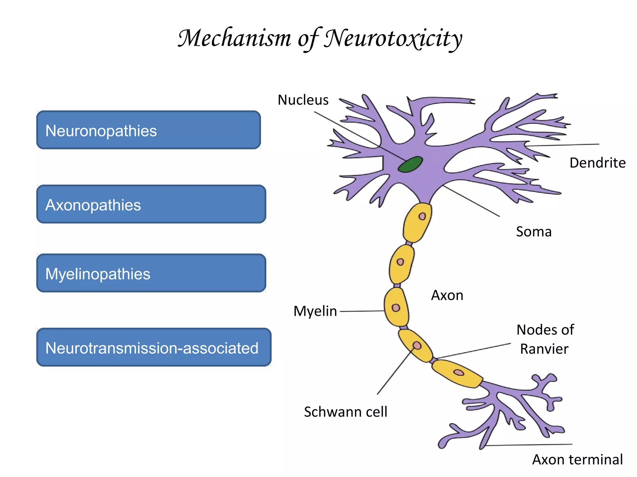 Pathology & pathogenesis of different toxins, poisons other than ...