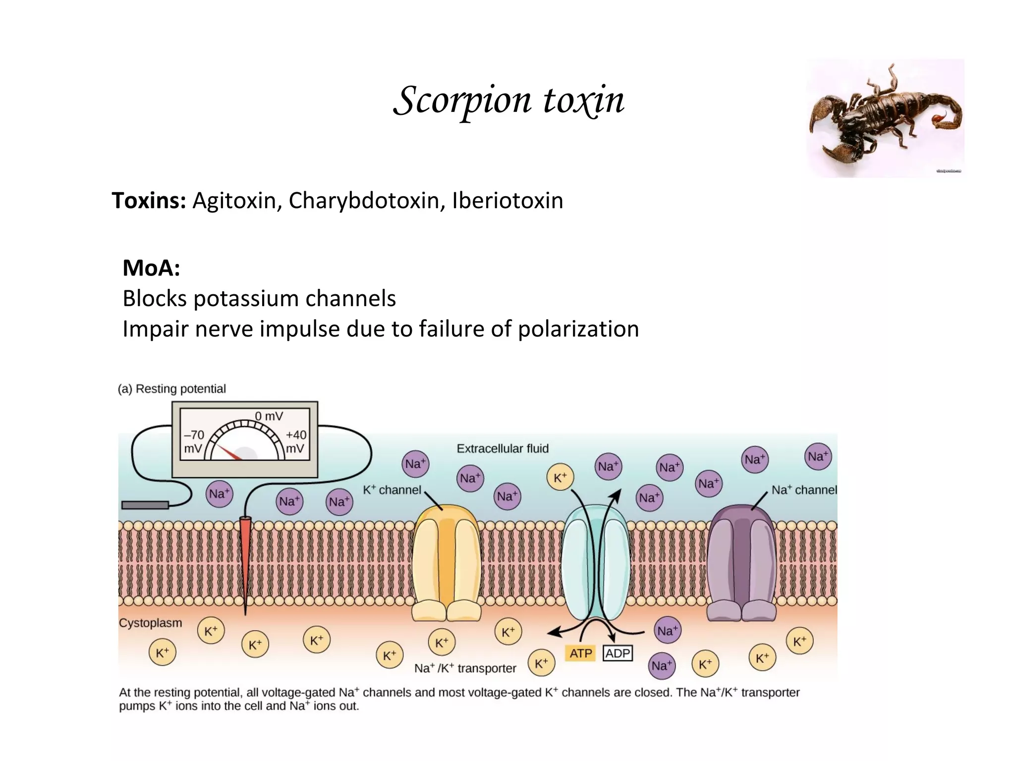 Pathology & pathogenesis of different toxins, poisons other than ...