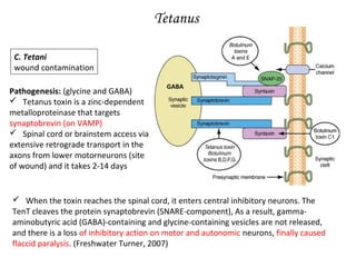 Pathology & pathogenesis of different toxins, poisons other than ...