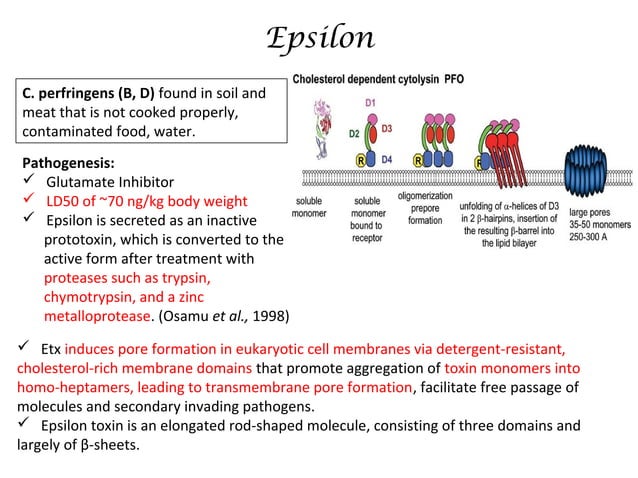Pathology & pathogenesis of different toxins, poisons other than ...