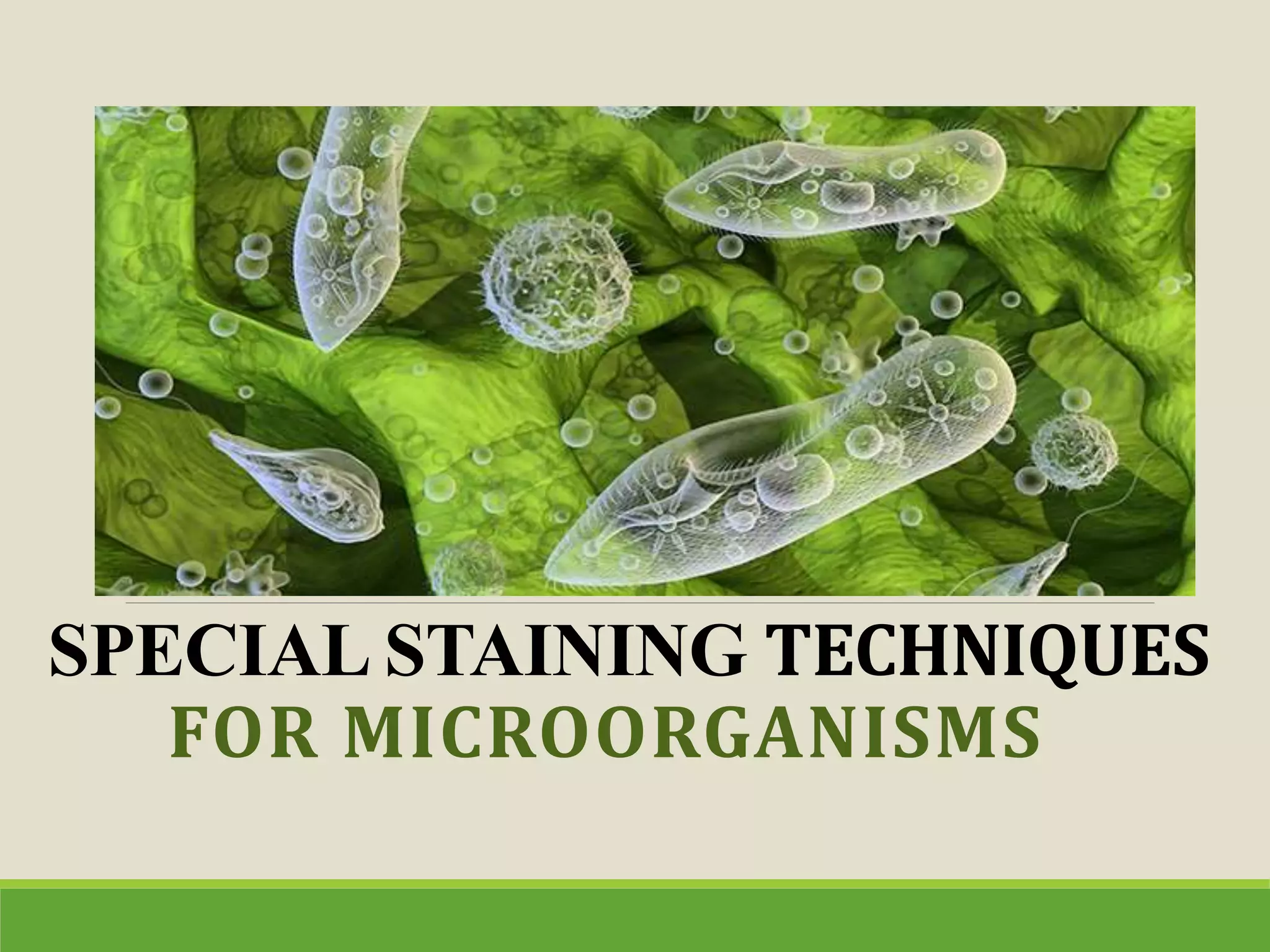 Special staining techniques for microorganisms | PPTX