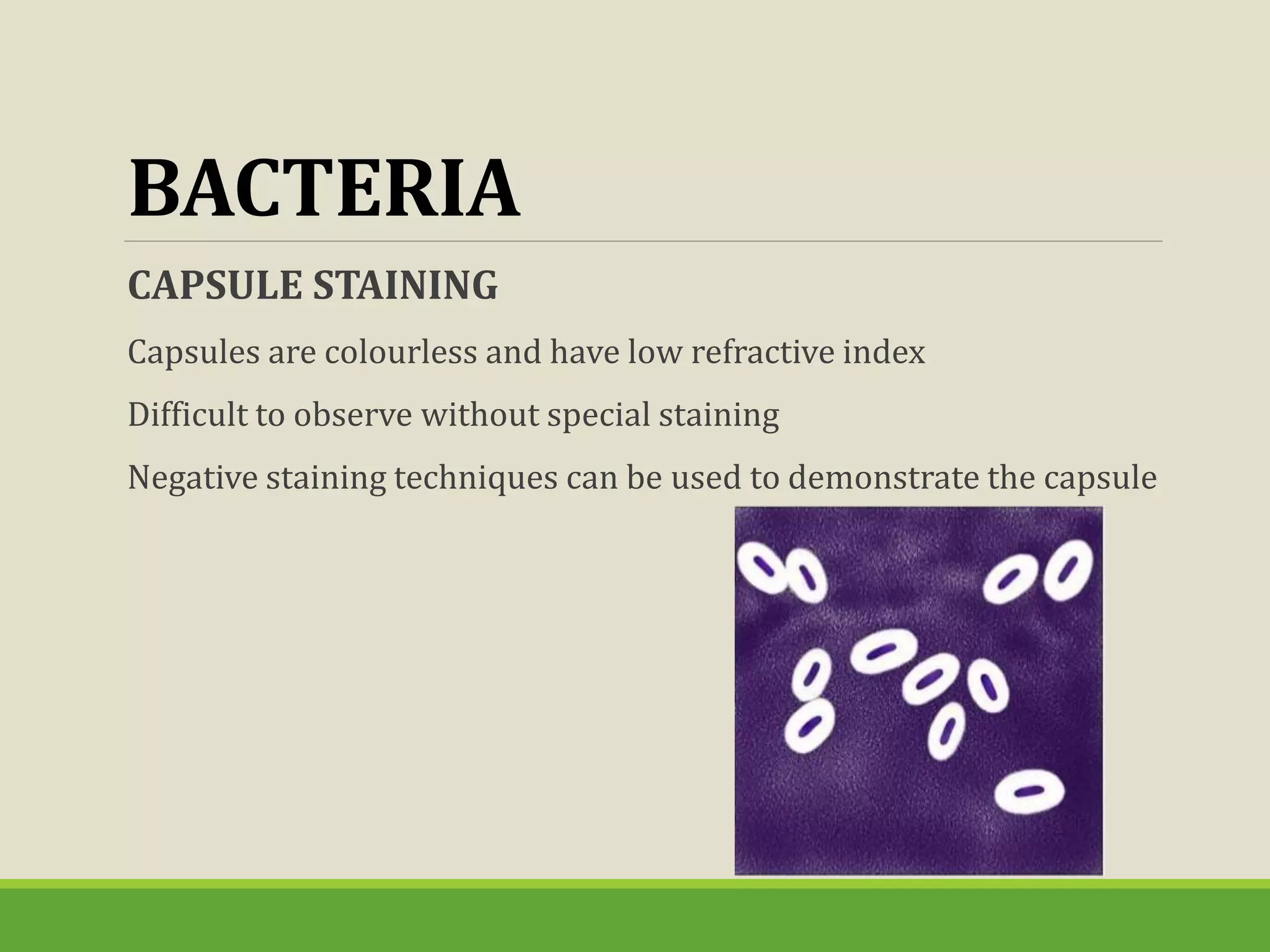 Special staining techniques for microorganisms | PPTX
