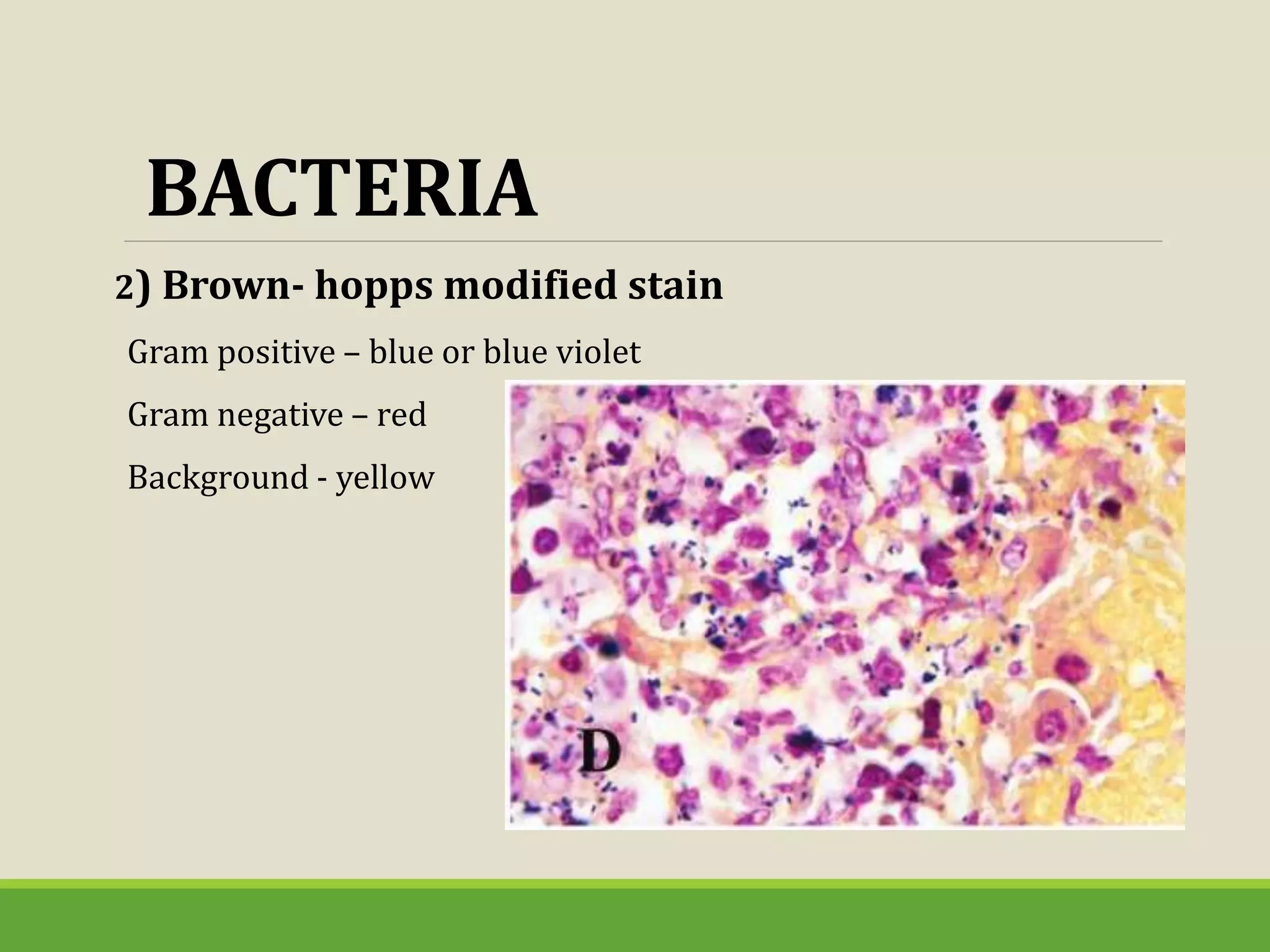 Special staining techniques for microorganisms | PPTX