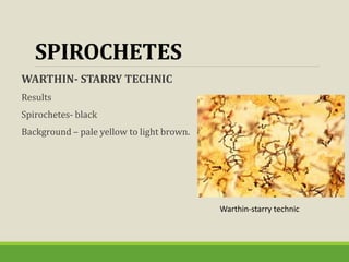 Special staining techniques for microorganisms | PPTX