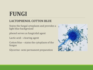 Special staining techniques for microorganisms | PPTX