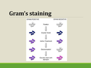 Special staining techniques for microorganisms | PPTX