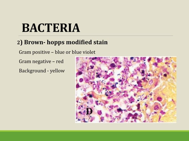 Special staining techniques for microorganisms | PPTX | Chemistry | Science