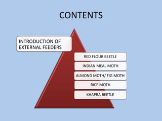 external feeder storage pest | PPTX