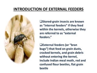 external feeder storage pest | PPTX