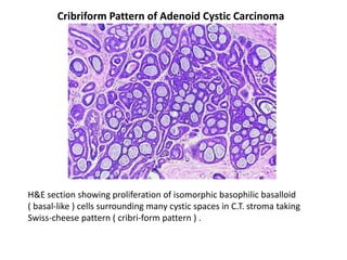 Pathology practical | PPTX