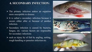 Pathology | PPTX