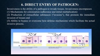 Pathology | PPT
