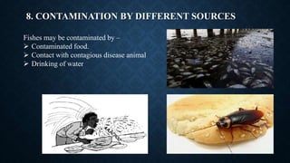 Pathology | PPTX