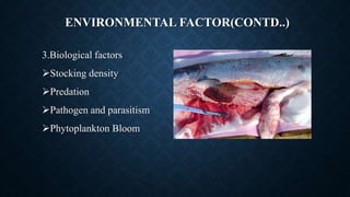 Pathology | PPT