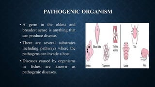 Pathology | PPT