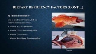 Pathology | PPTX