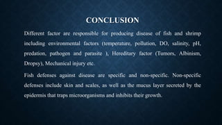 Pathology | PPTX