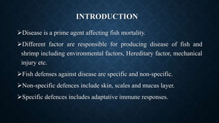 Pathology | PPT