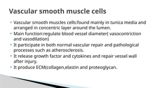 the pathology presentation in UoB (2).pptx