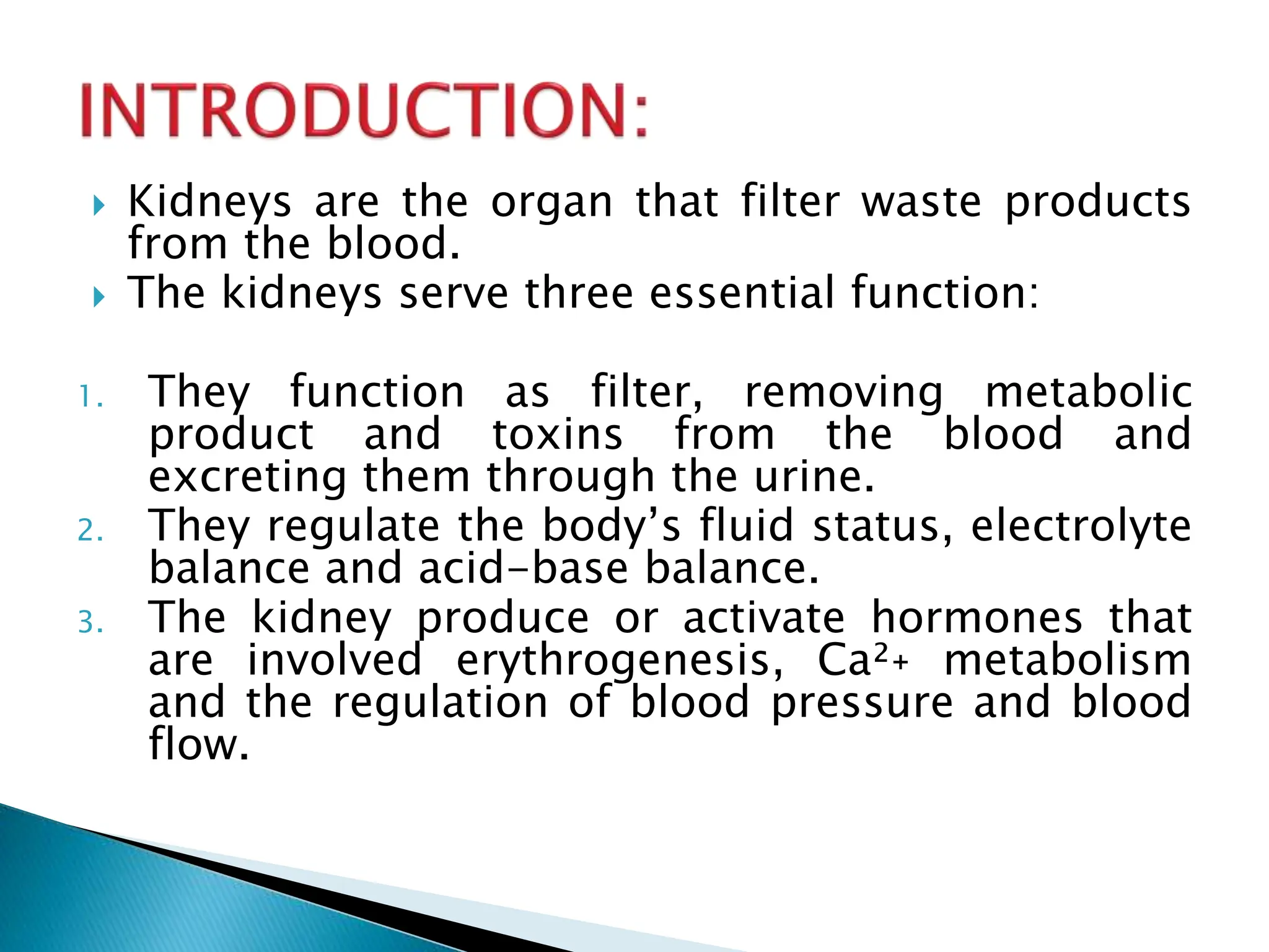 A detailed explanation of kidney function tests.ppt