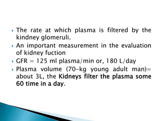 A detailed explanation of kidney function tests.ppt