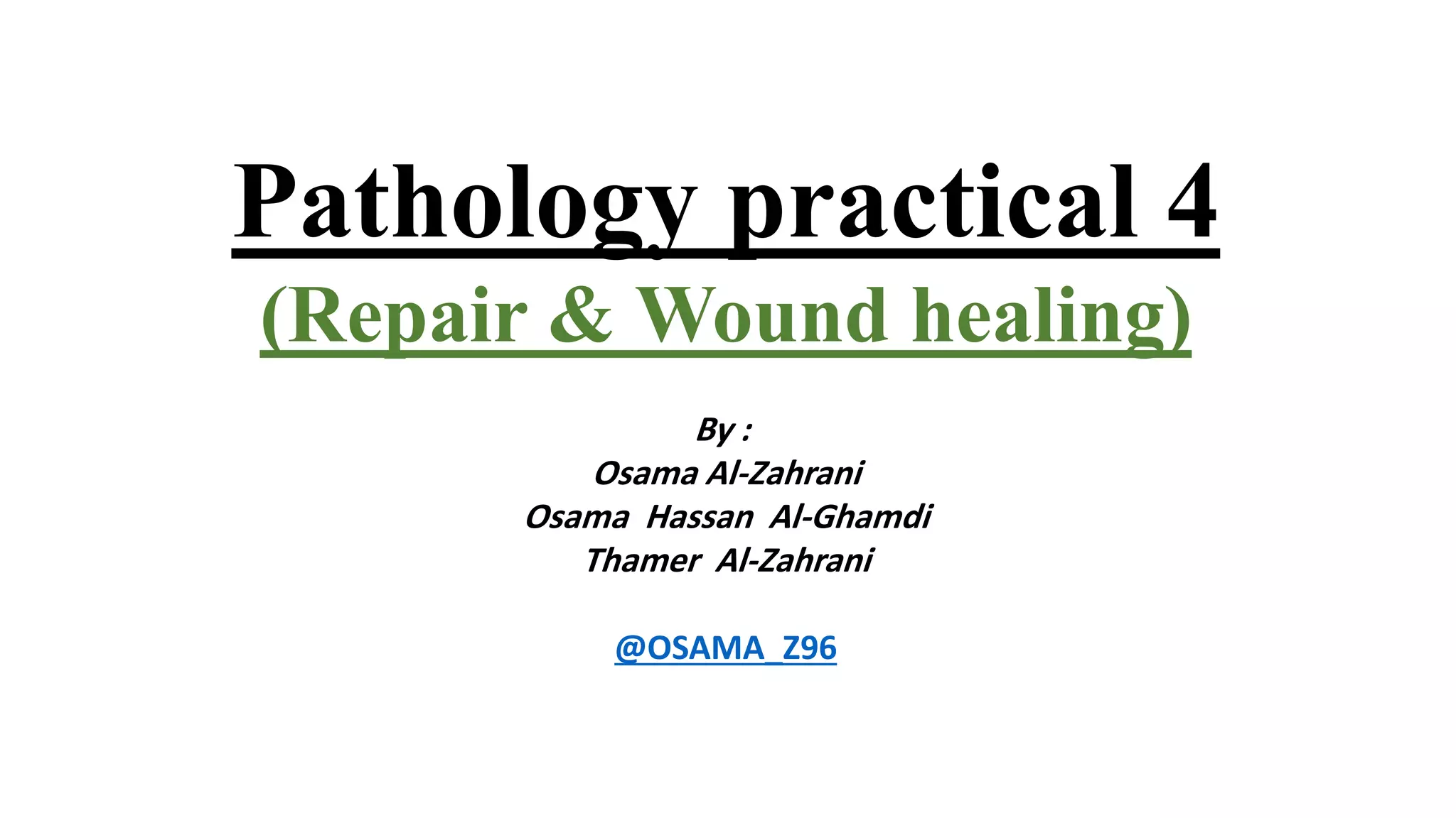 Pathology (repair and wound healing) | PDF