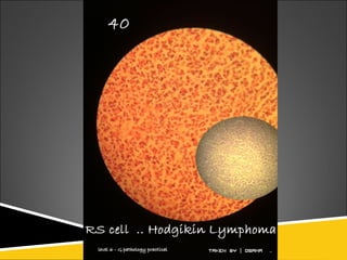 Pathology slides | PPT