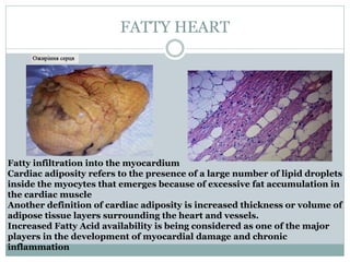 Pathology Slides For Exam (Kiev Medical University) | PDF