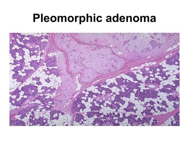 Basic Pathology lab slides | PPT
