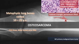 Bone Pathology snaps | PPTX