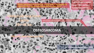 Bone Pathology snaps | PPTX