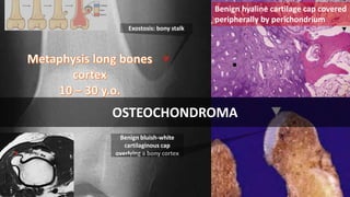 Bone Pathology snaps | PPTX