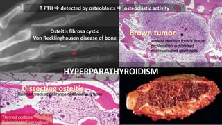Bone Pathology snaps | PPTX