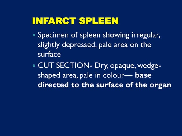 Pathology Specimen for pathology practicals.pdf