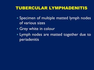 Pathology Specimen for pathology practicals.pdf
