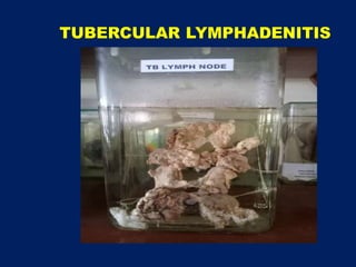 Pathology Specimen for pathology practicals.pdf