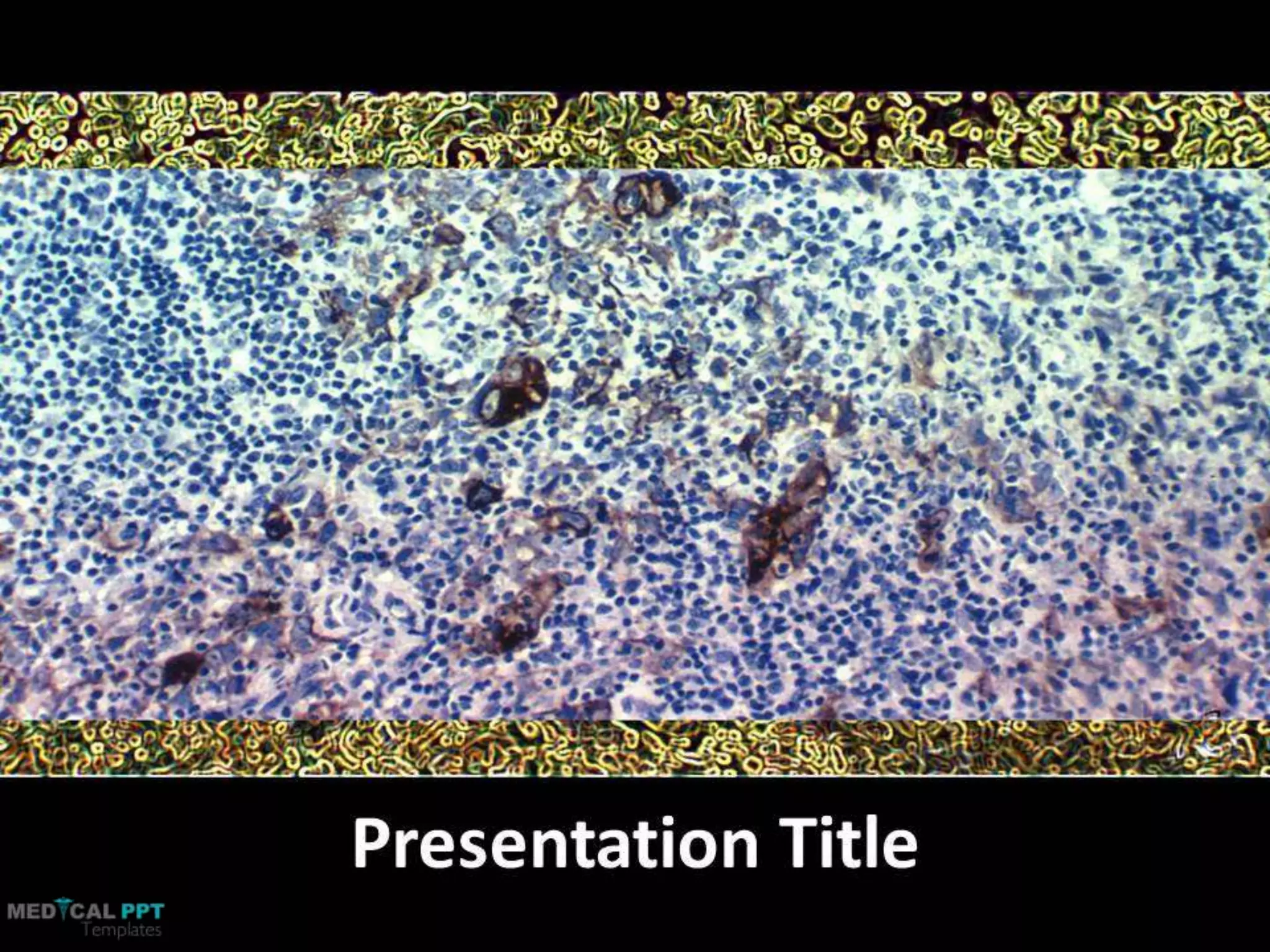 Pathology PPT Templates | PPTX