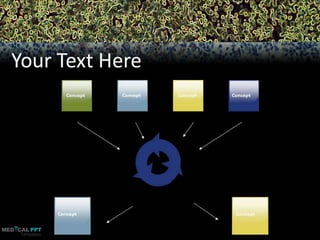 Pathology PPT Templates | PPTX