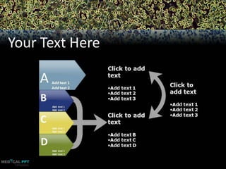 Pathology PPT Templates | PPTX