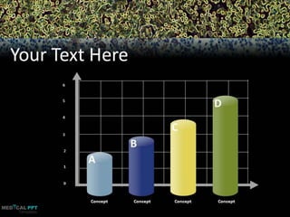 Pathology PPT Templates | PPTX