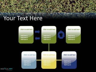 Pathology PPT Templates | PPTX