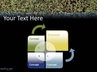 Pathology PPT Templates | PPTX