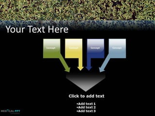 Pathology PPT Templates | PPTX