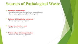 pathology waste 2.pptx important waste imp | PPTX