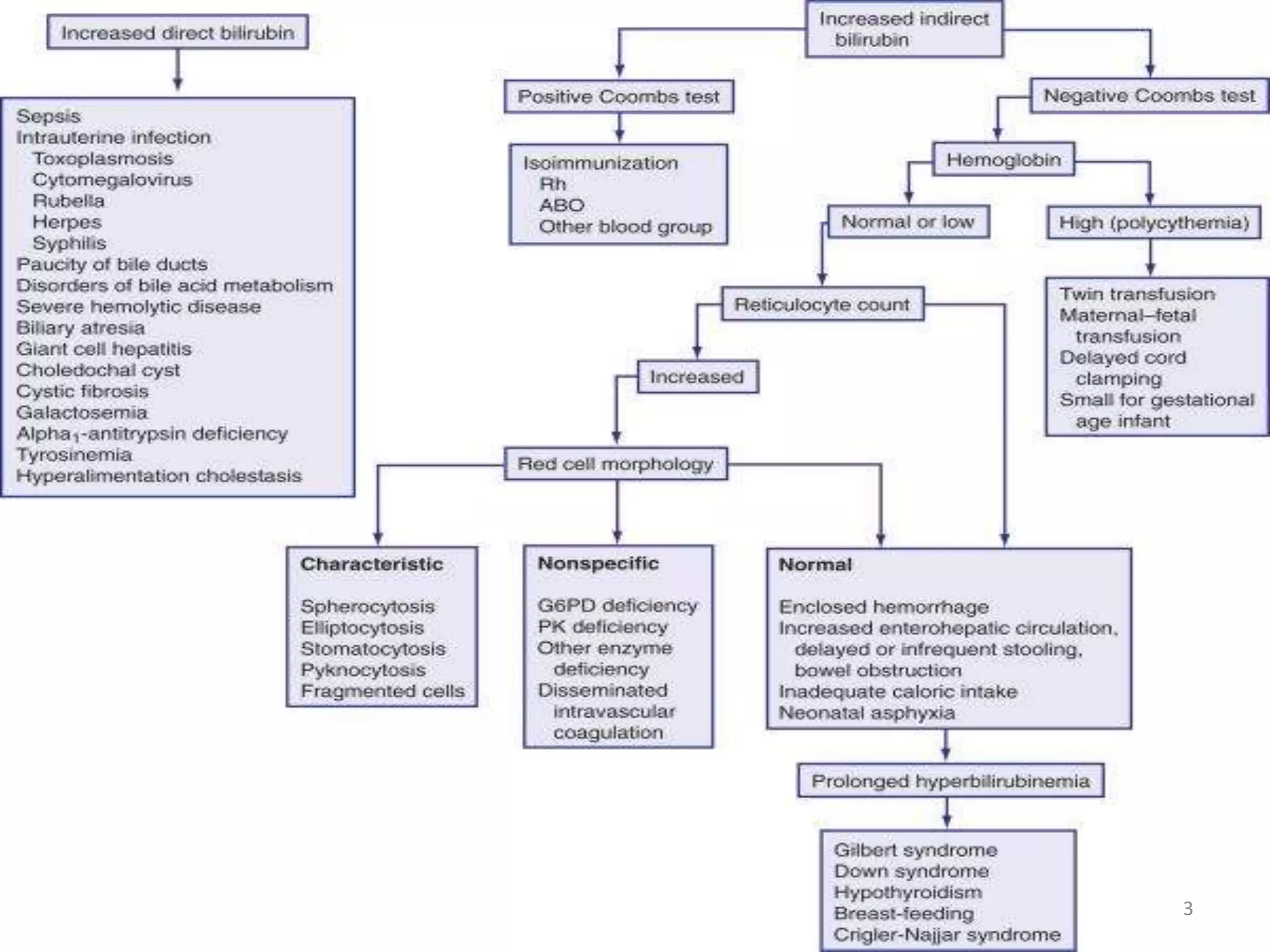 patholo jaundice.pptx