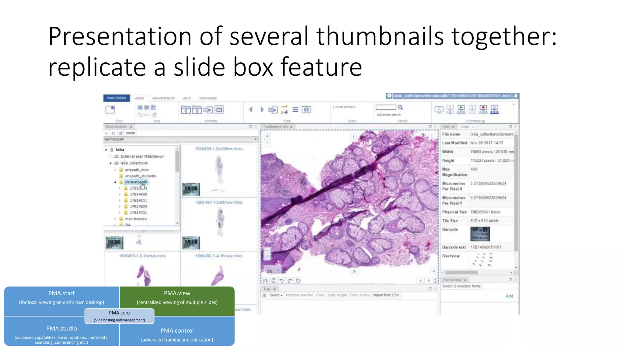 Pathomation product showcase | PPTX