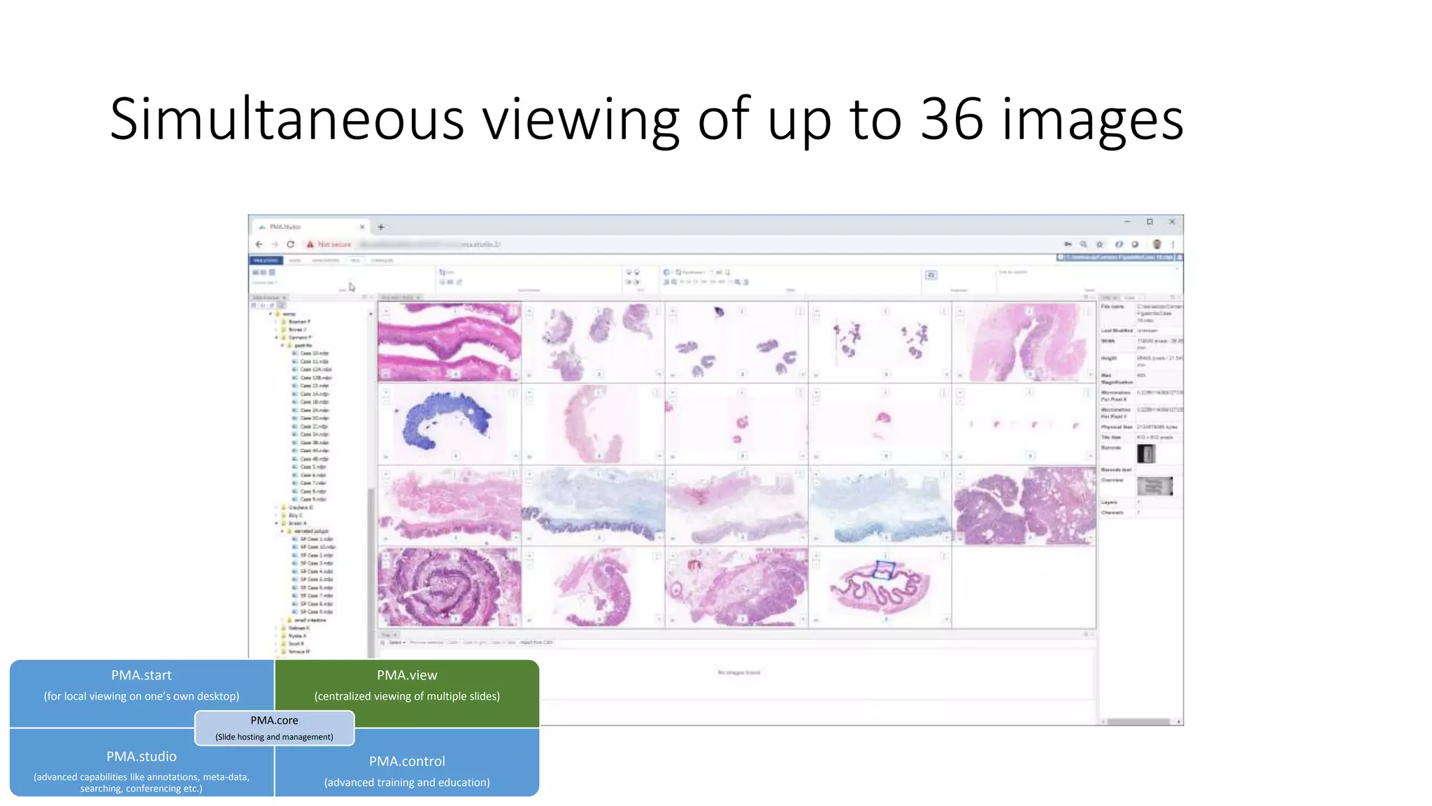 Pathomation product showcase | PPTX