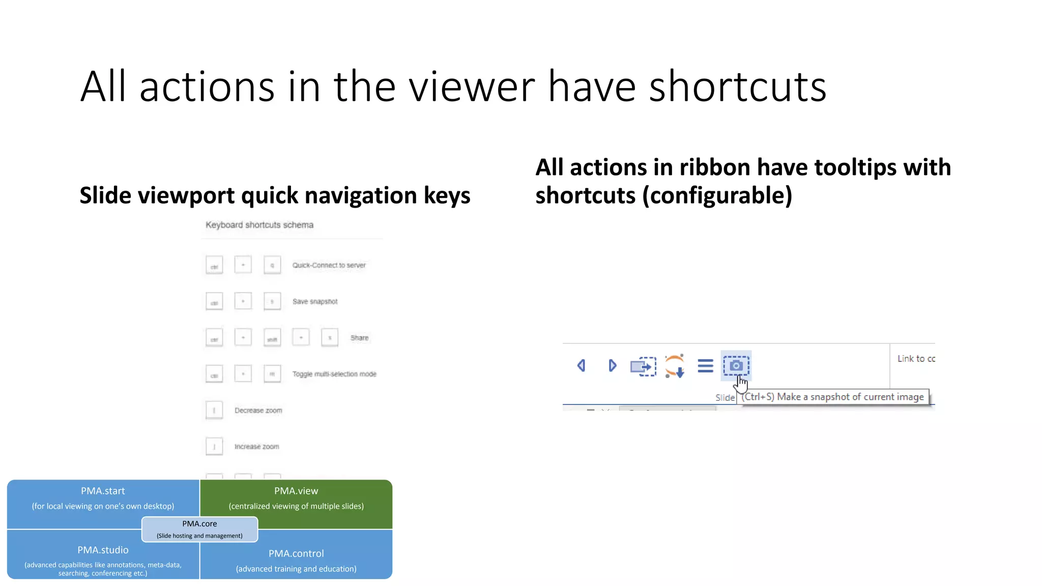 Pathomation product showcase | PPTX